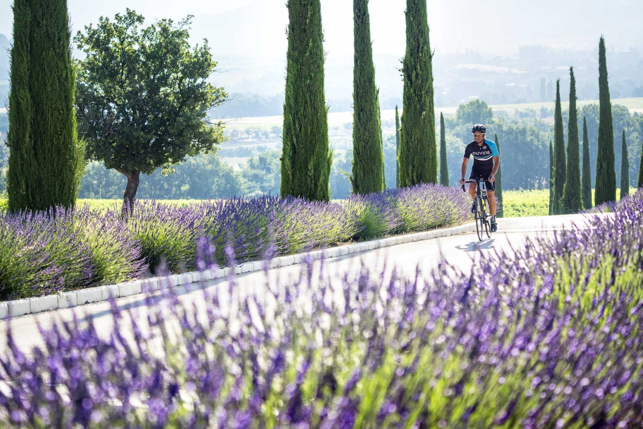 DuVine's Bike Tours Bring Sustainability To Luxury Travel